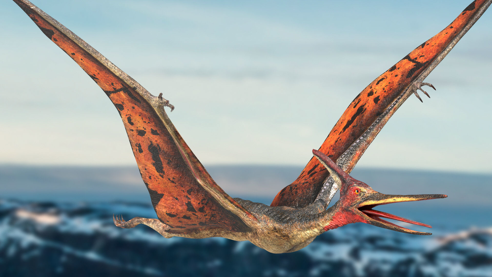 3D model Pteranodon Rigged Animated 3D model VR / AR / low-poly | CGTrader