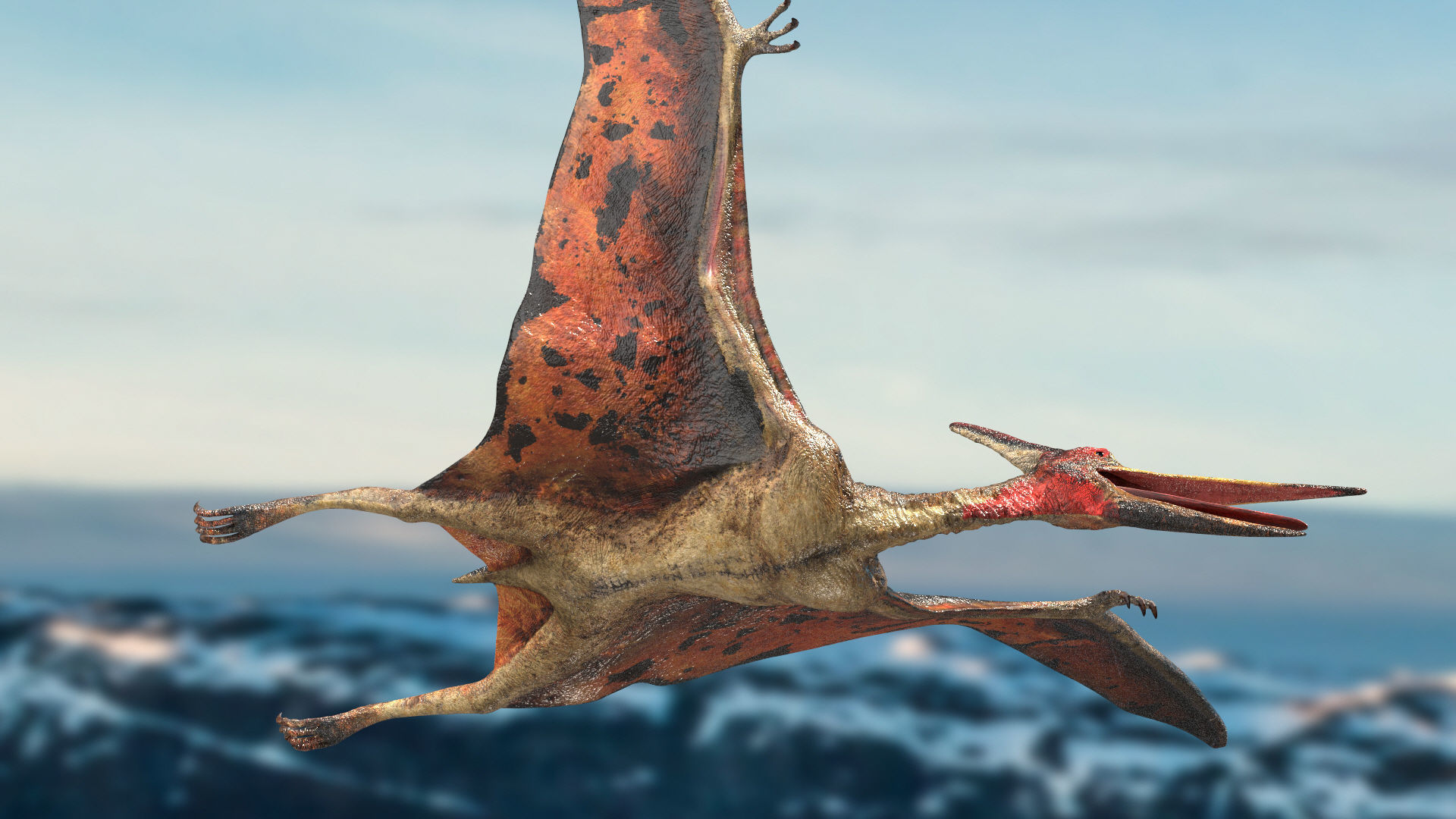 3D model Pteranodon Rigged Animated 3D model VR / AR / low-poly | CGTrader