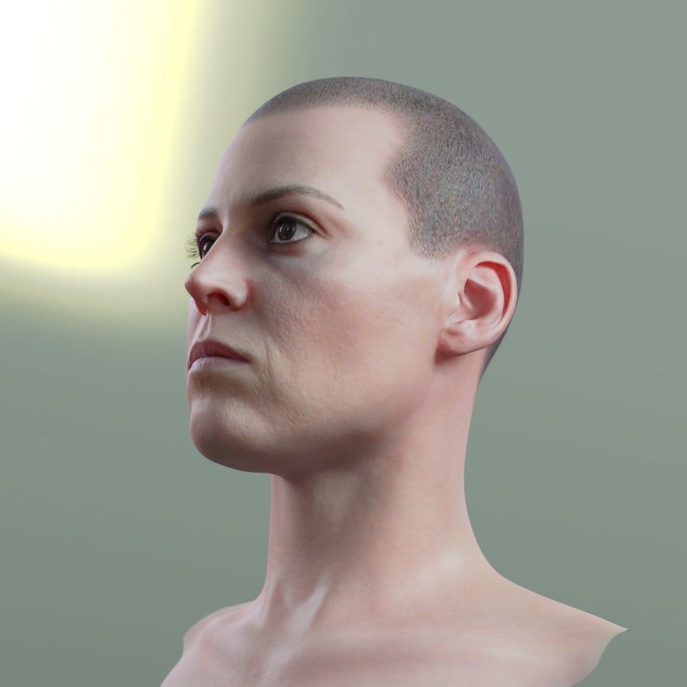 3D model 3d model Sigourney Weaver Ellen Ripley VR / AR / low-poly ...