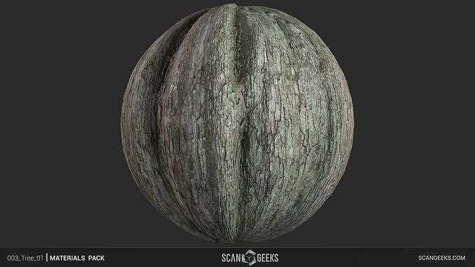 Tree Bark Material - Photogrammetry 3D PhotoScan Texture | CGTrader
