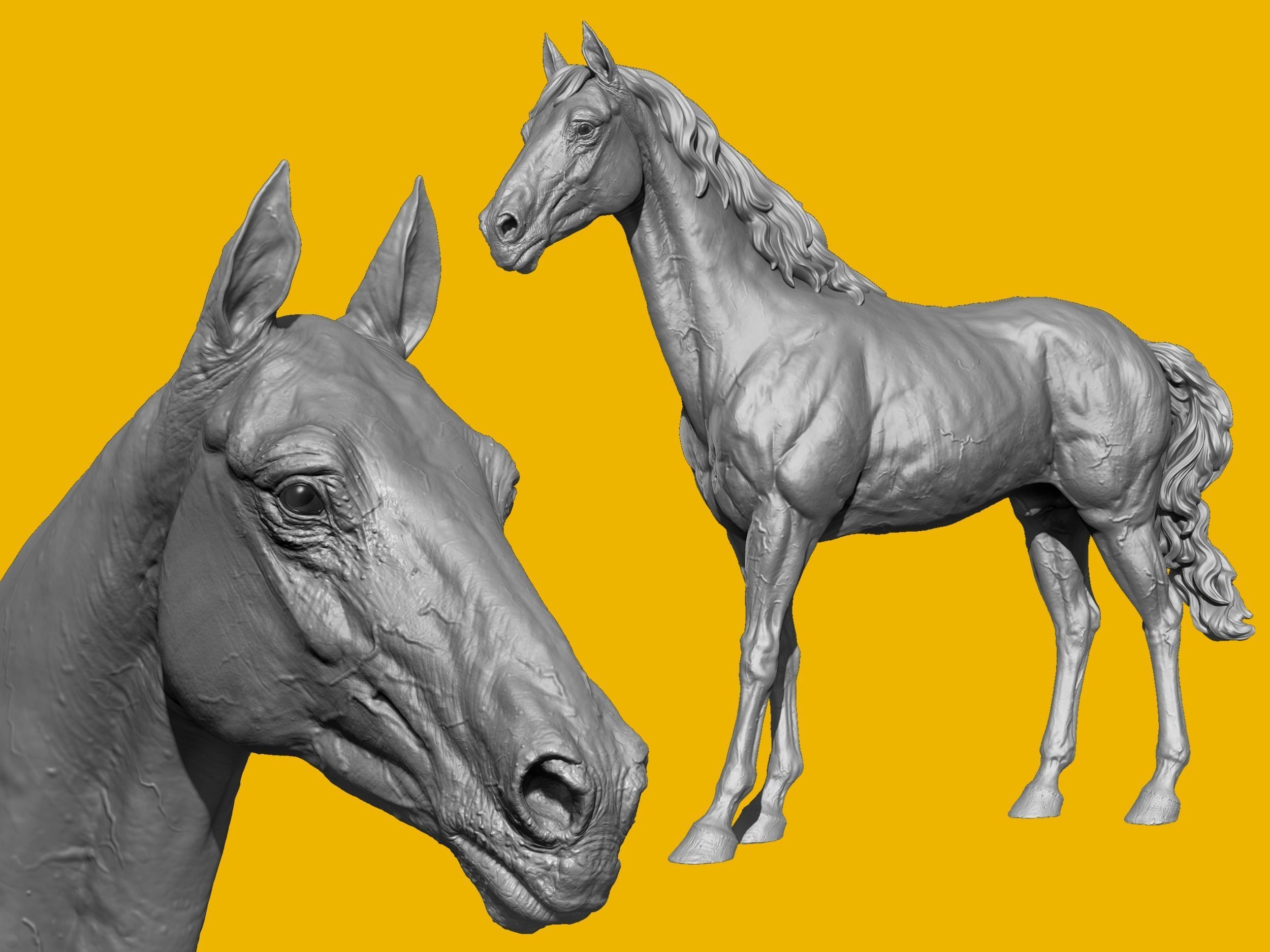 Horse print ready model 3D model 3D printable | CGTrader
