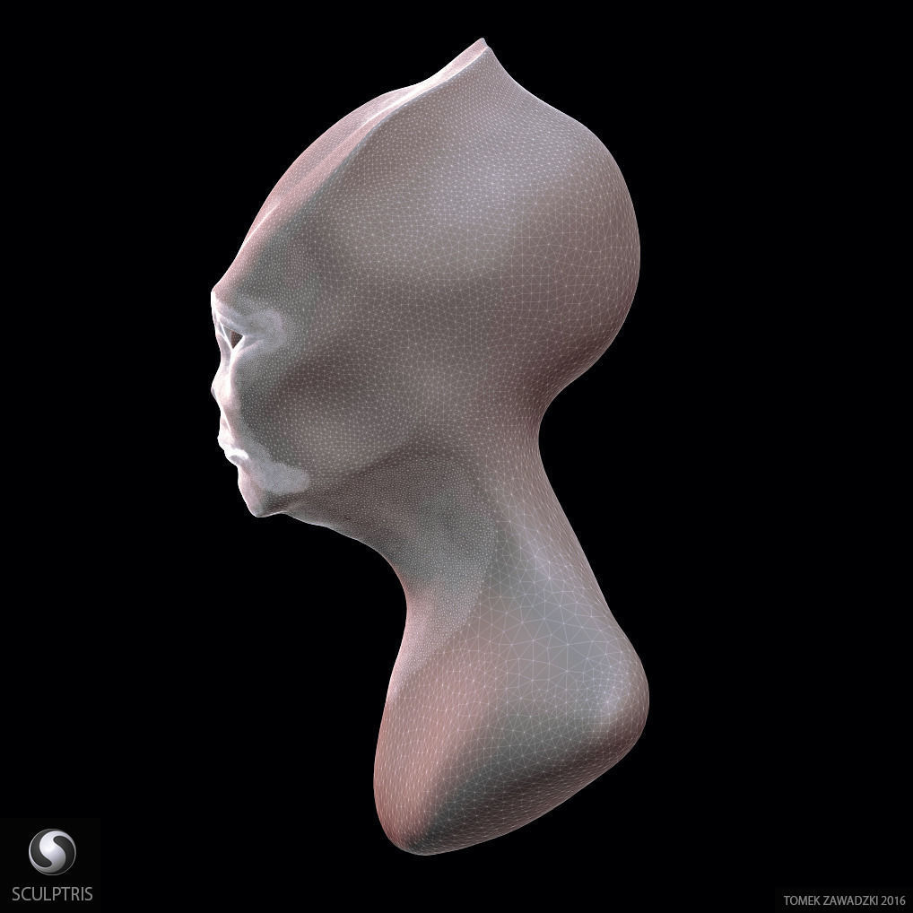 Alien Head Sculpt 3D model | CGTrader