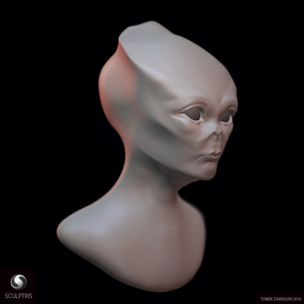 Alien Head Sculpt 3D model | CGTrader
