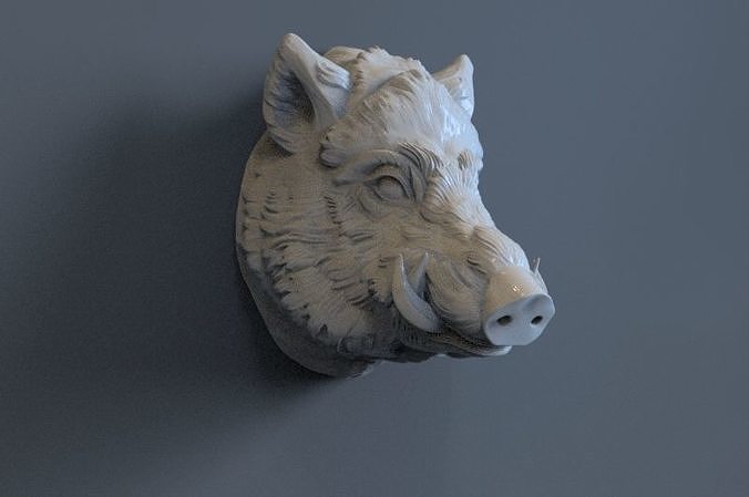Boar Head 3D model 3D printable | CGTrader