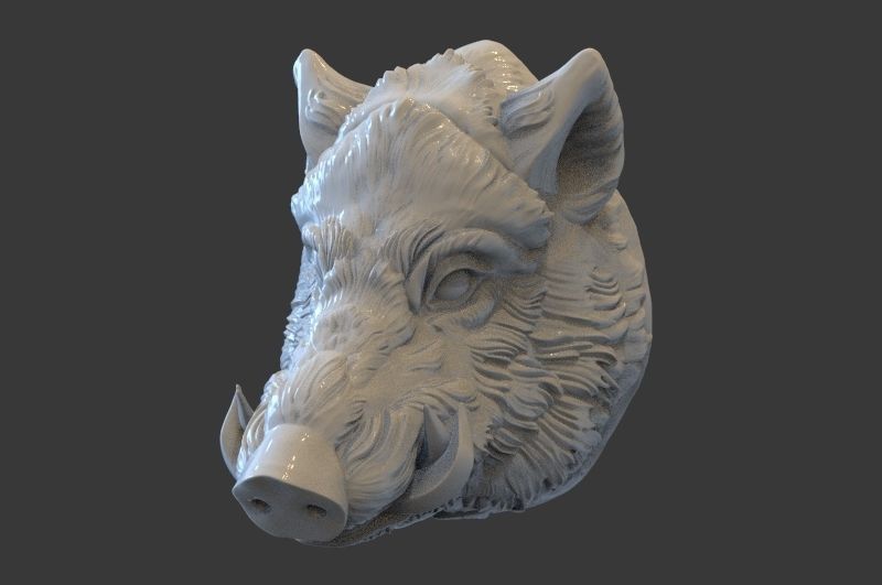 Boar Head 3D model 3D printable | CGTrader