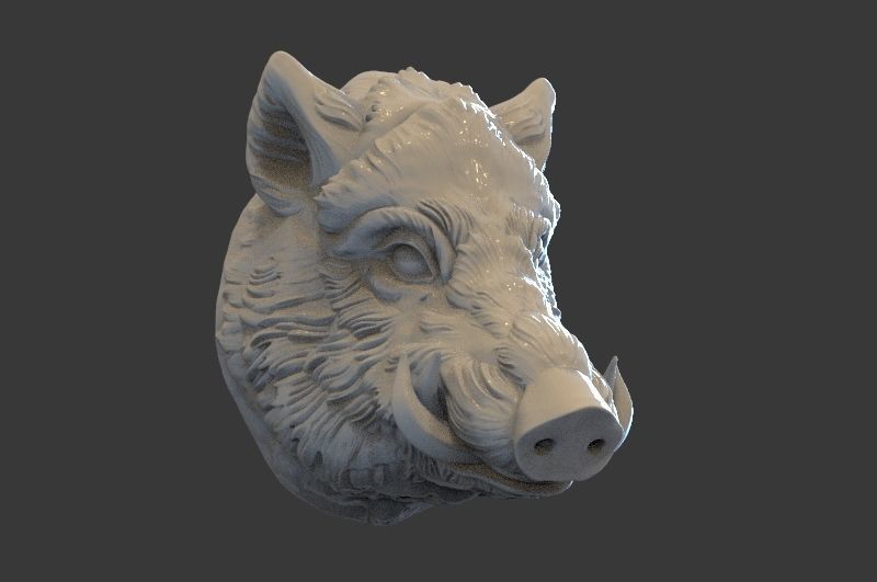 Boar Head 3D model 3D printable | CGTrader