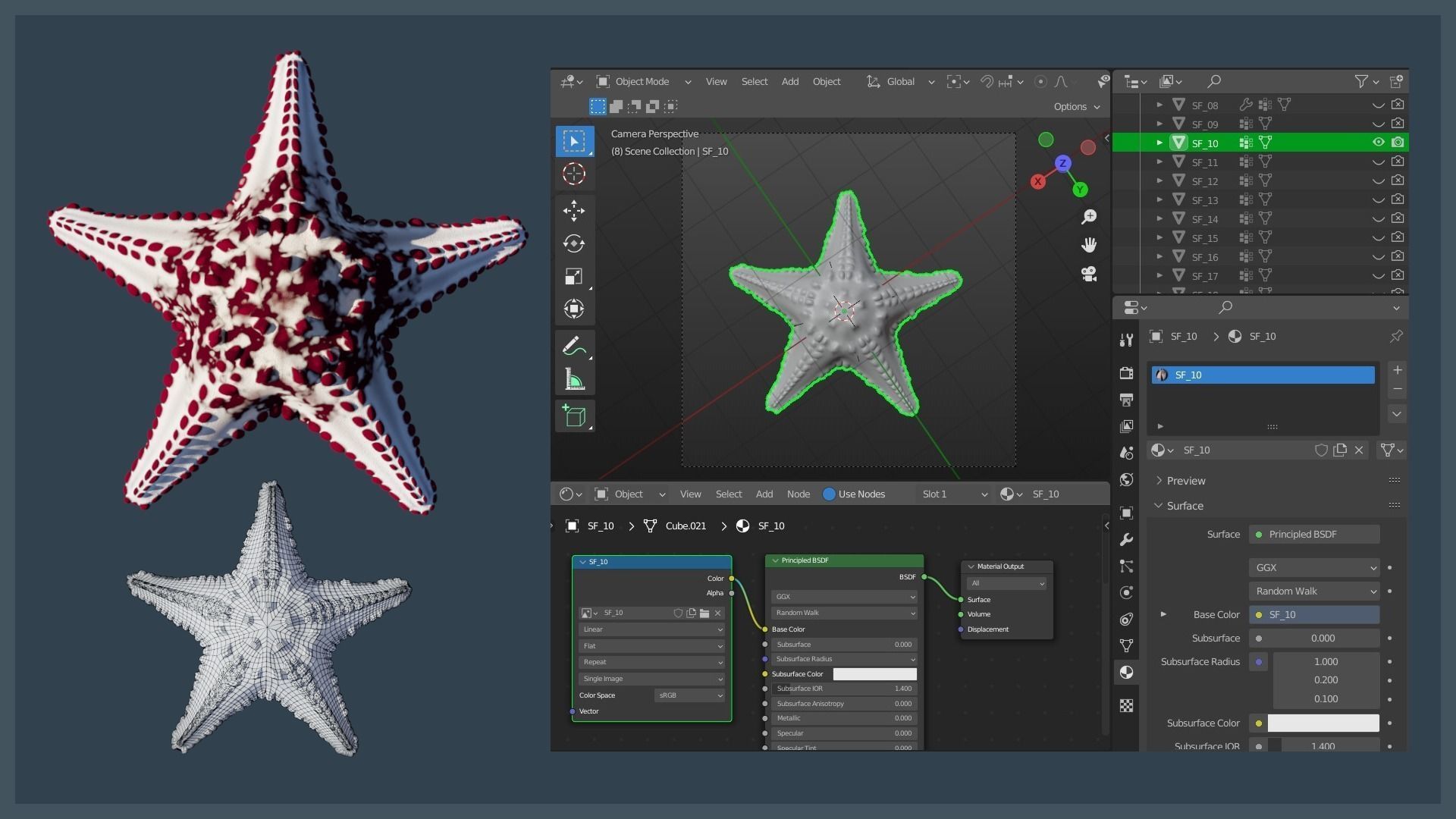 3D model Starfish Variety Pack 2 VR / AR / low-poly | CGTrader
