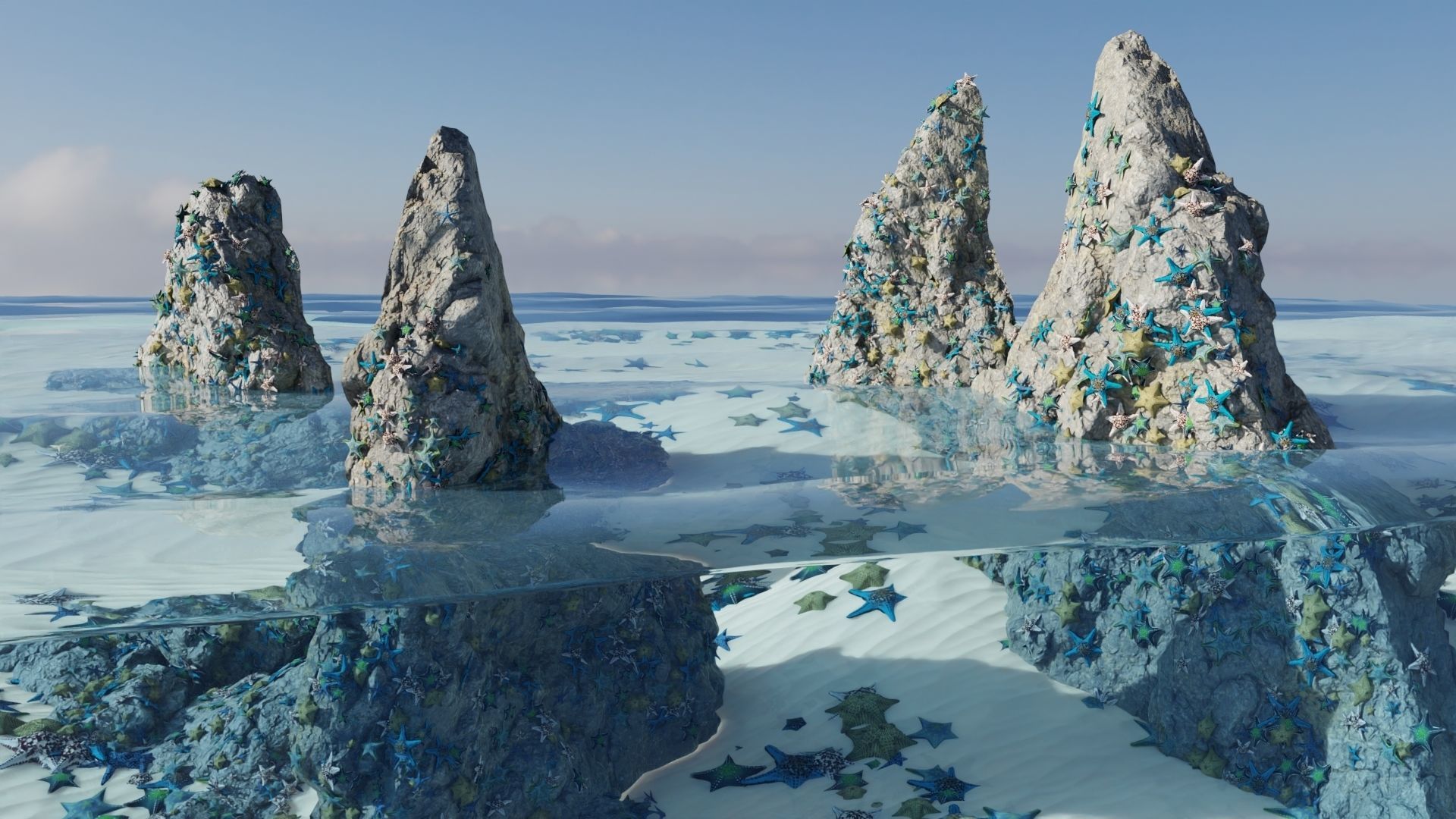 3D model Starfish Variety Pack 2 VR / AR / low-poly | CGTrader