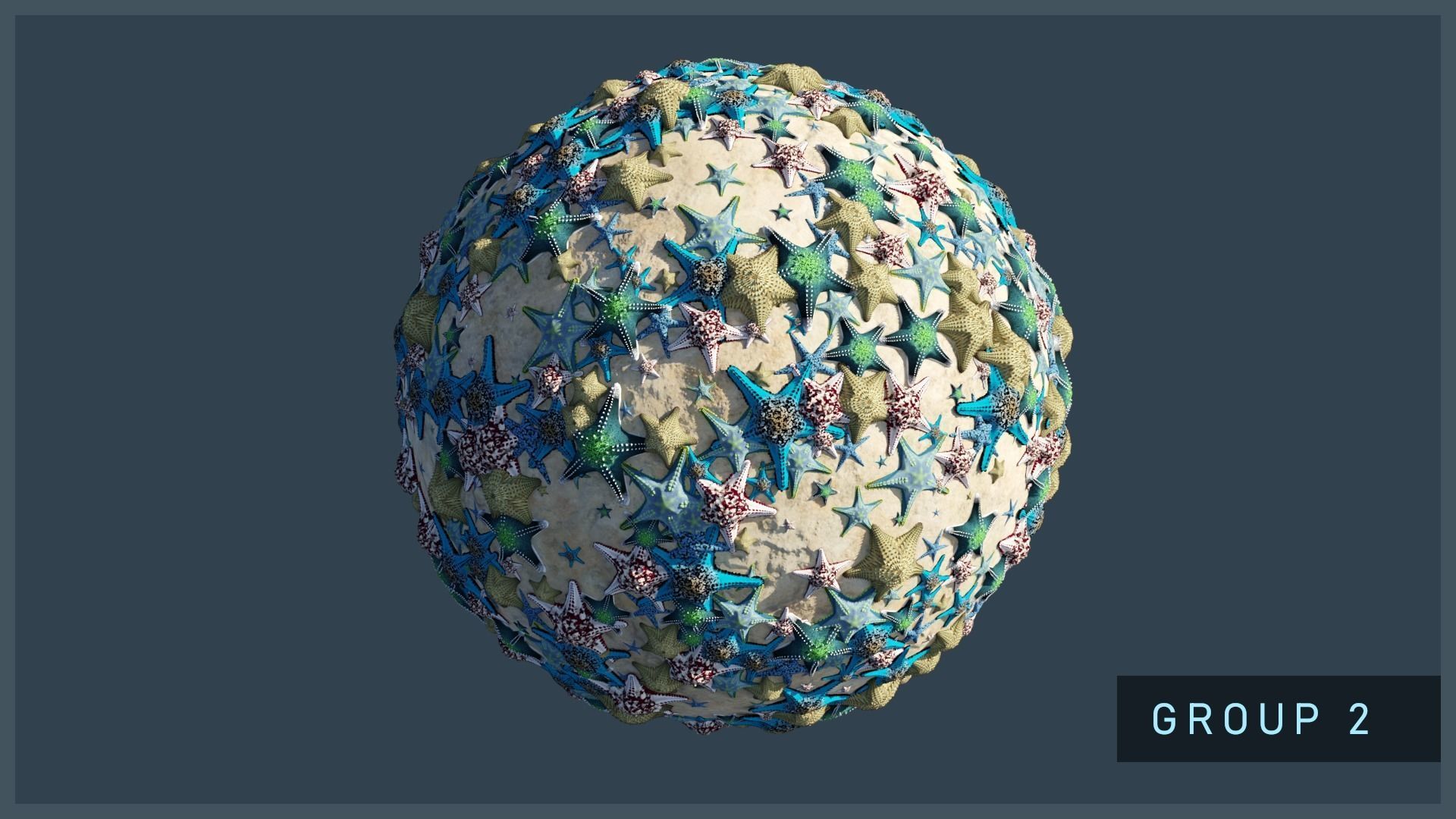 3D model Starfish Variety Pack 2 VR / AR / low-poly | CGTrader