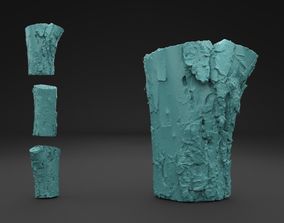 Tree log 3D Printing Models | CGTrader
