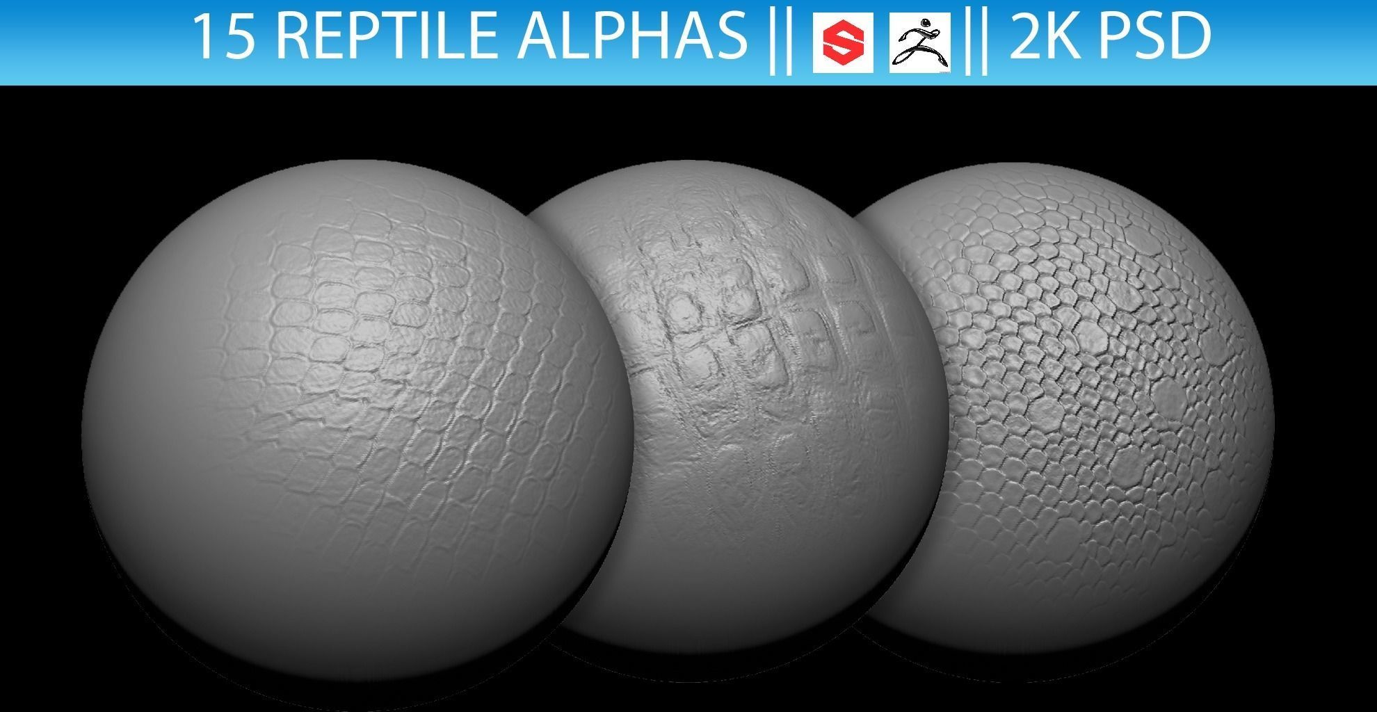 15 Reptile Alphas for ZBrush and Substance 3D model | CGTrader