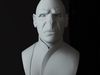 Voldemort Realistic Model bust of man 3D model | CGTrader