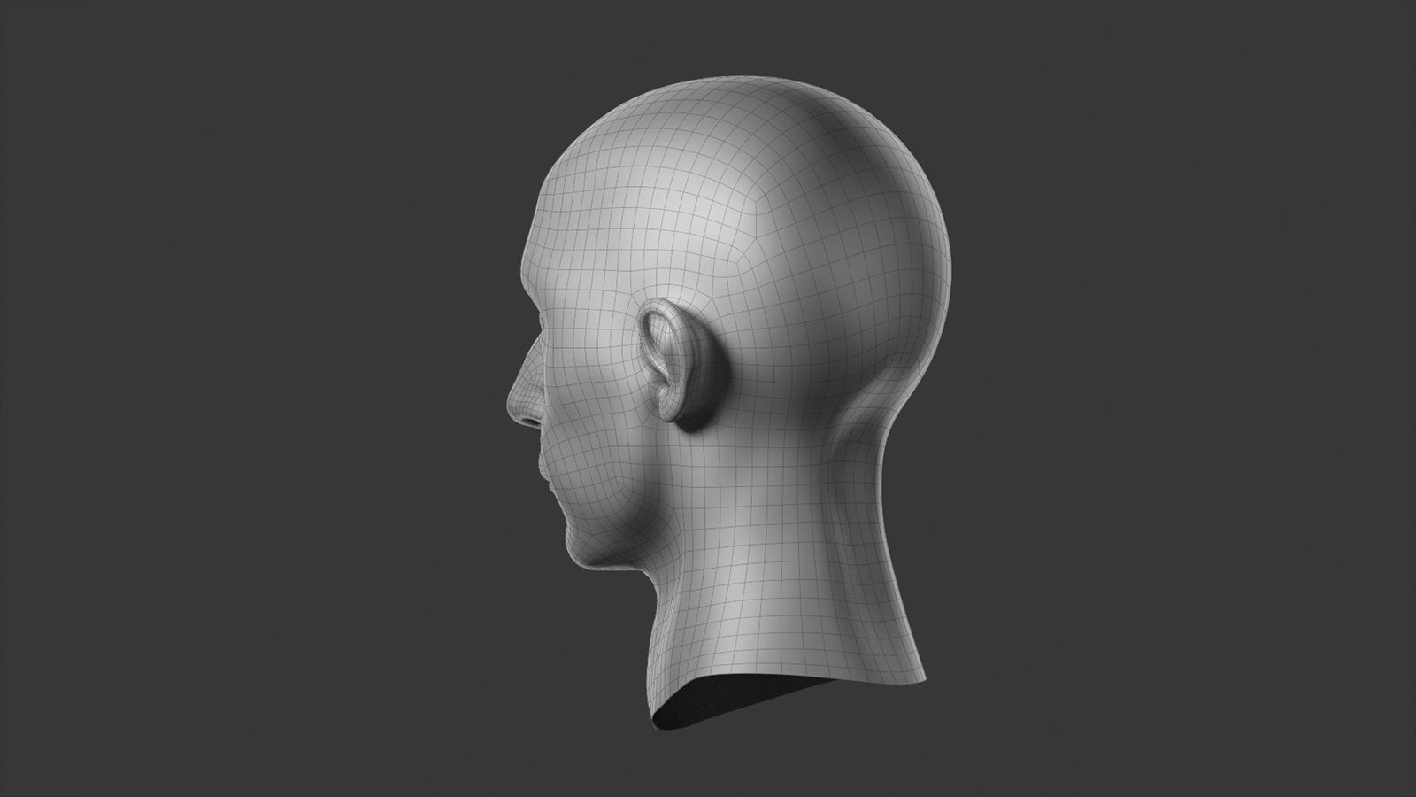 Model head 01 free 3D model | CGTrader