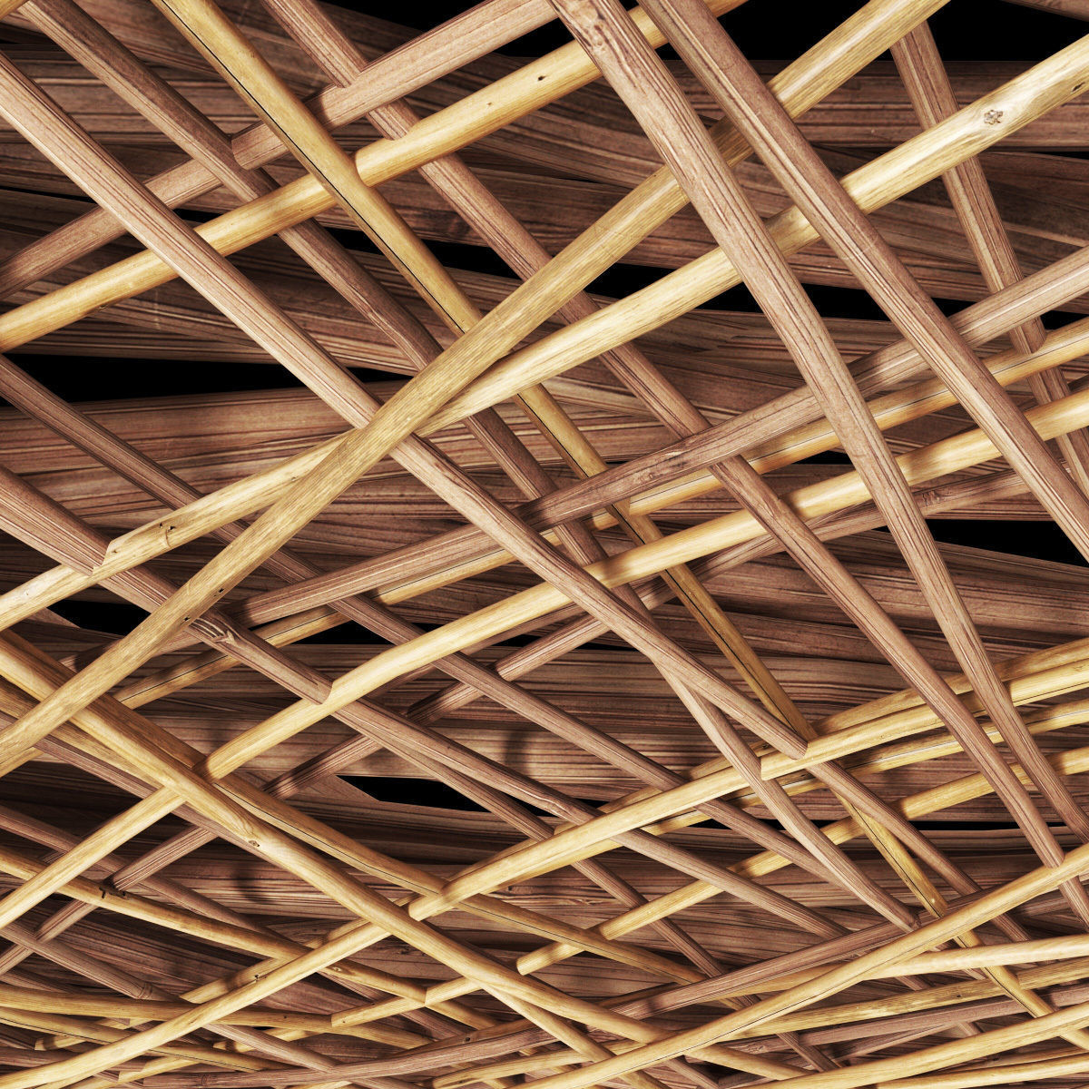 Ceiling diagonal wood thin branch beam n5 3D model | CGTrader