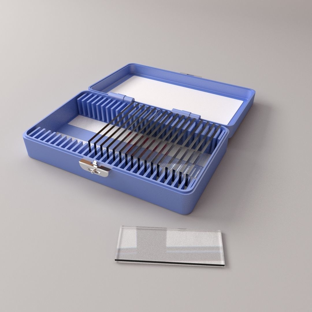 Microscope Slide Box 3D model | CGTrader