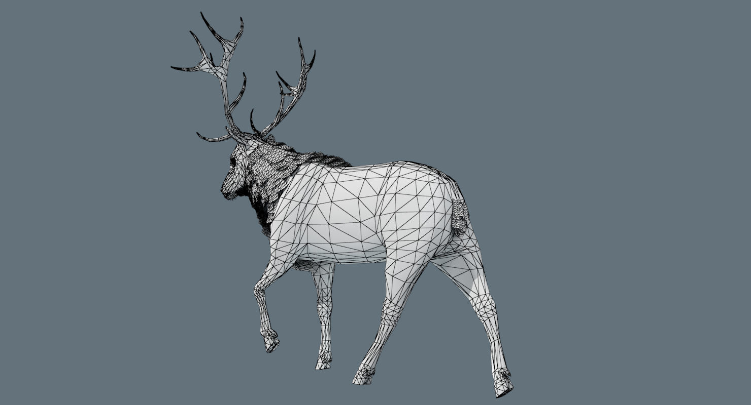 3D model Deer Rig VR / AR / low-poly | CGTrader