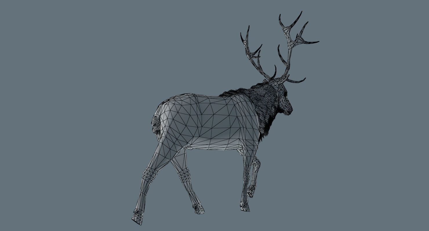 3D model Deer Rig VR / AR / low-poly | CGTrader