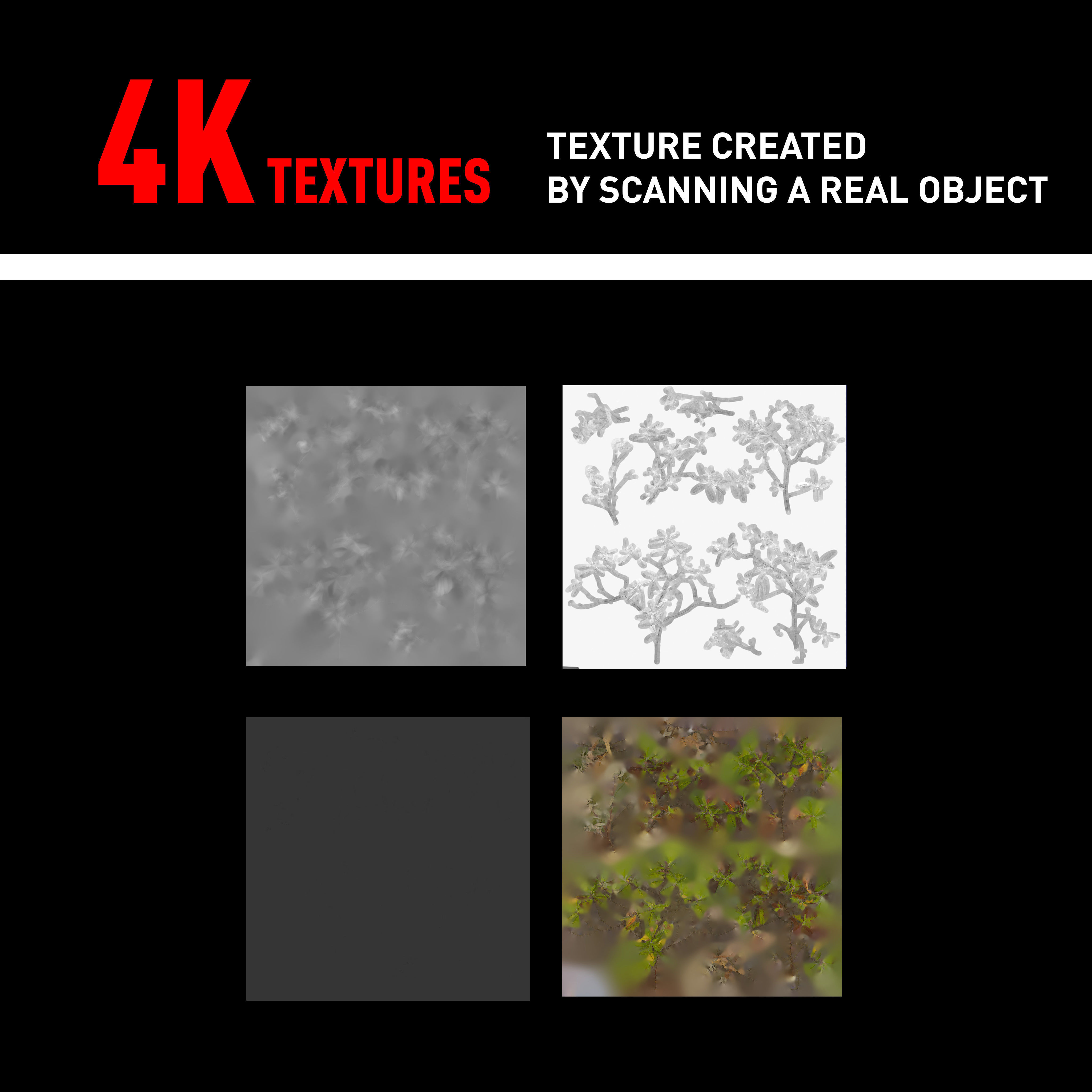 PBR Bush Branch 4K Professional Textures Texture | CGTrader