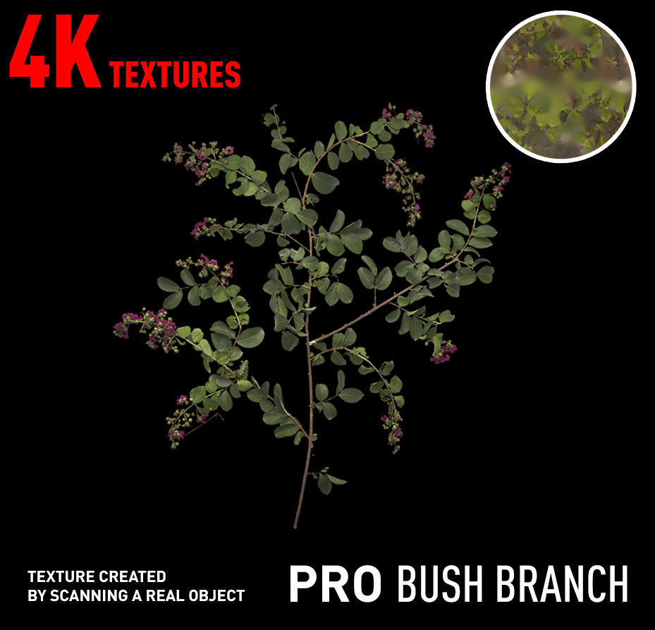 PBR Bush Branch 4K Professional Textures Texture | CGTrader