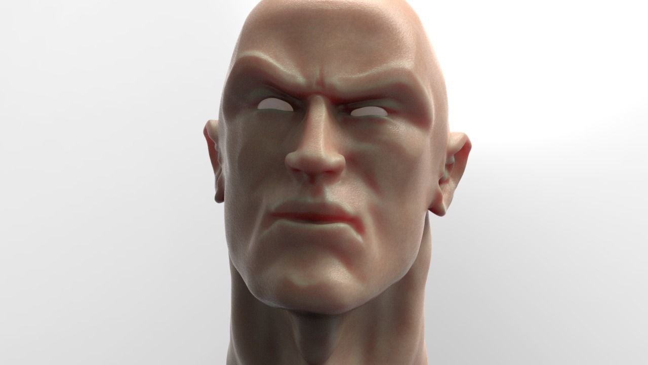 The Rock Bust printable 3D model | CGTrader