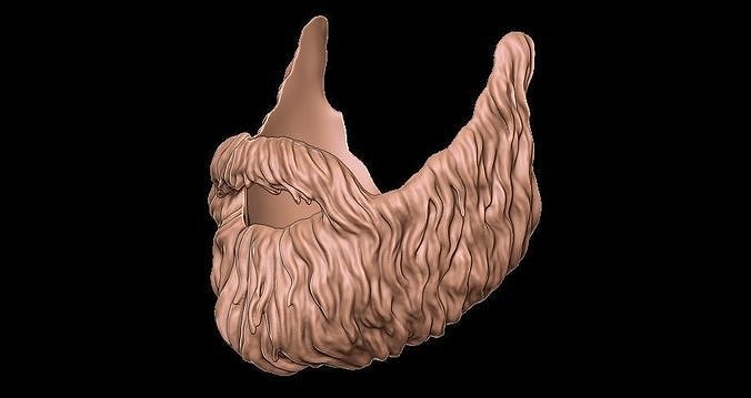 Beard 3D model | CGTrader