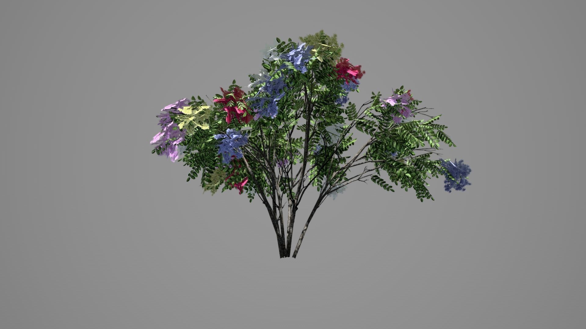 3D model Japanese Angelica Colors Tree VR / AR / low-poly | CGTrader