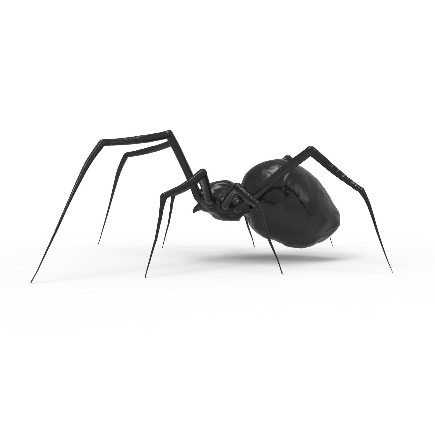 Spider 3D model | CGTrader