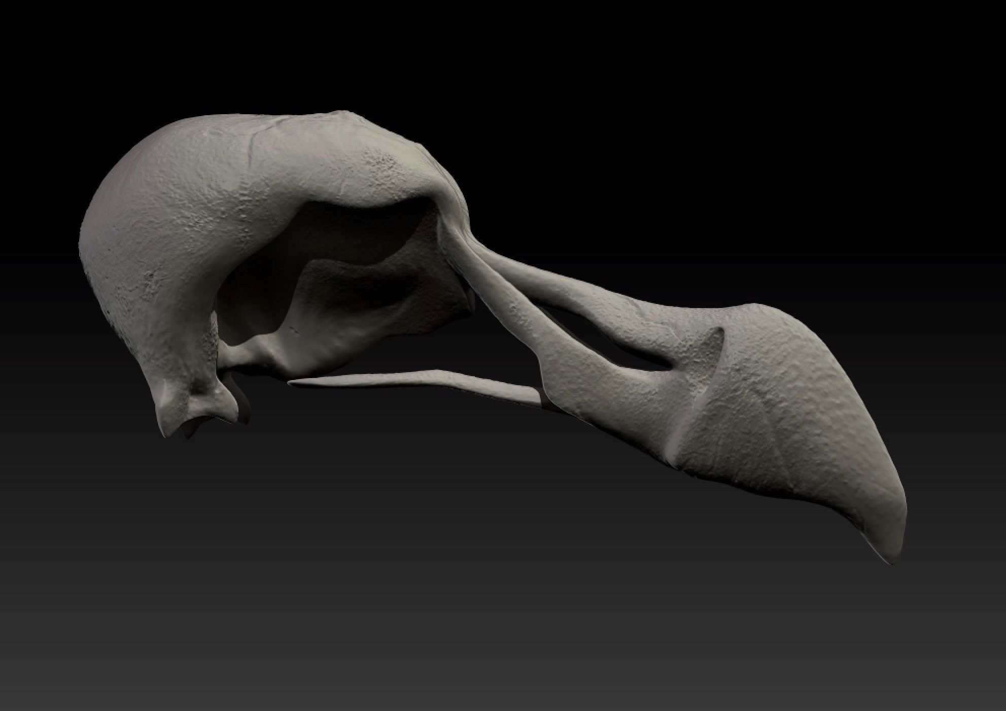 Dodo Bird Skull 3D Printable 3D model 3D printable | CGTrader
