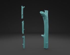 Tree log 3D Printing Models | CGTrader