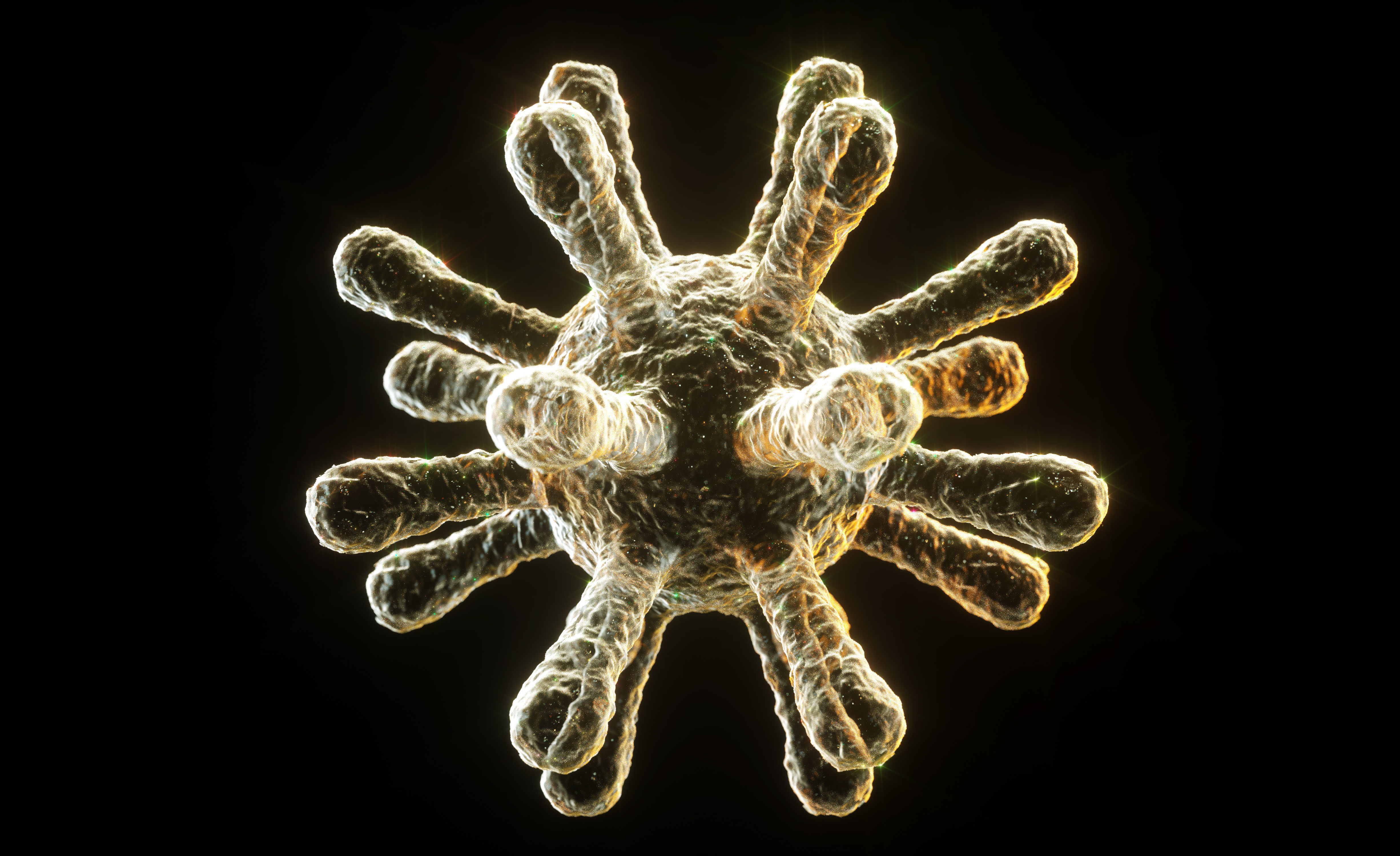COVID-19 CoronaVirus - FREE High Quality 3D Model