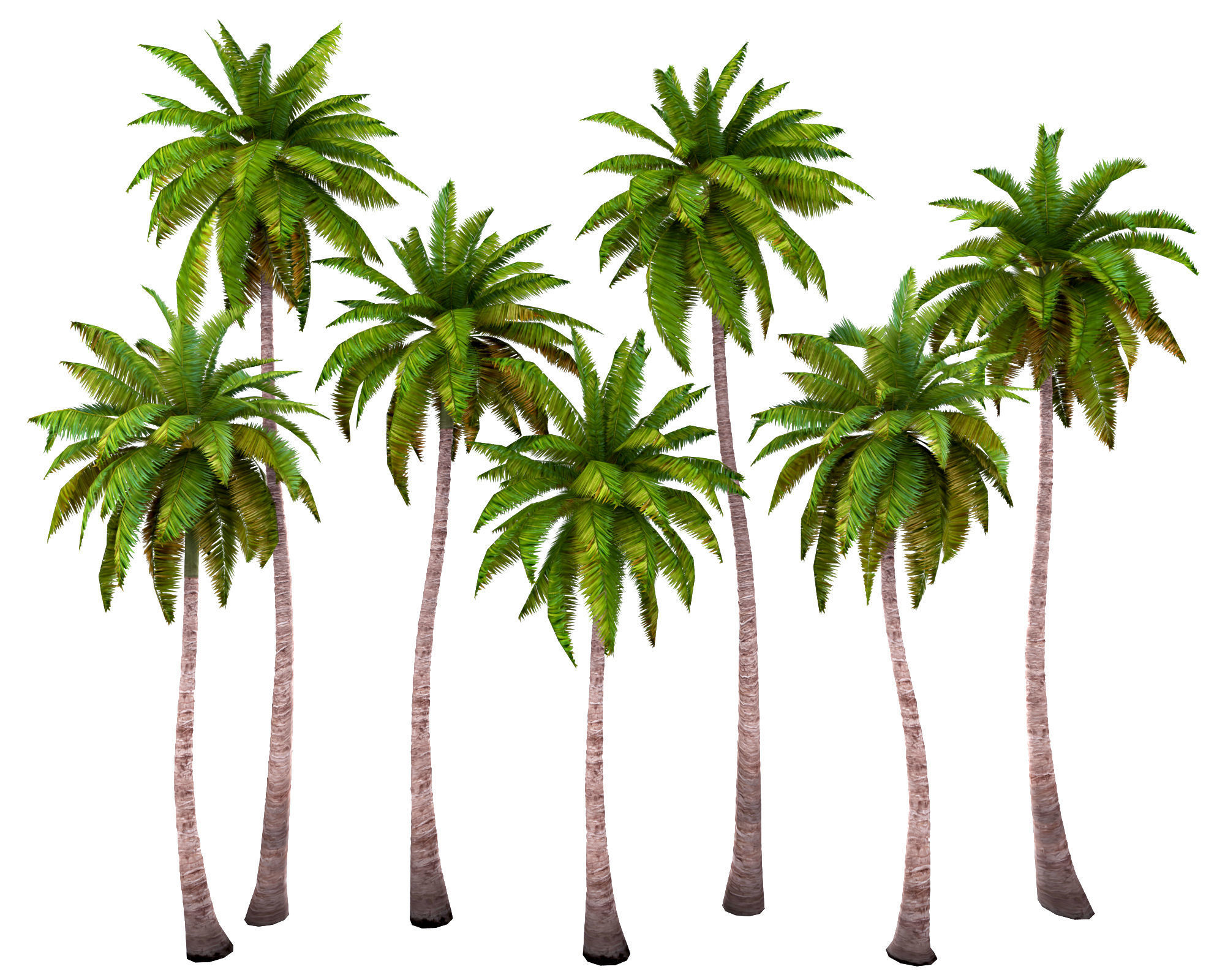 3D model Palms low poly set 1 VR / AR / low-poly | CGTrader