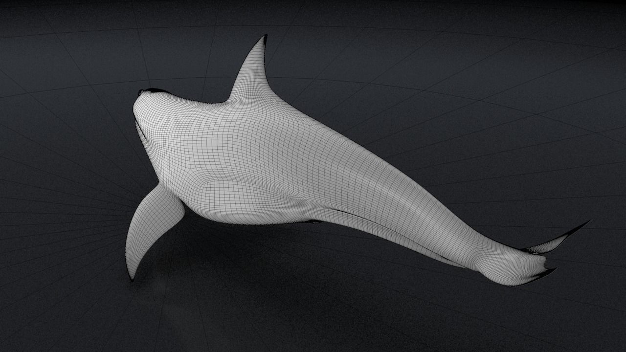 Bottlenose Dolphin 3D Printable Model 3D model 3D printable | CGTrader