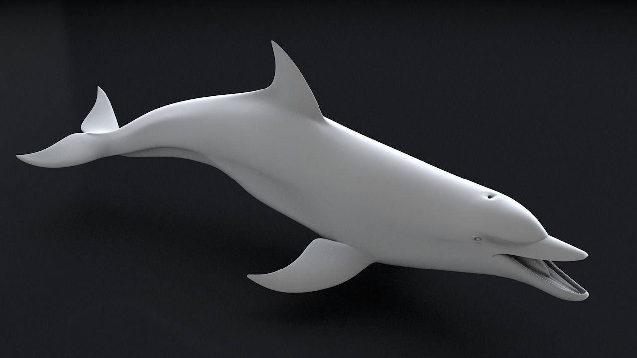 Bottlenose Dolphin 3D Printable Model 3D model 3D printable | CGTrader