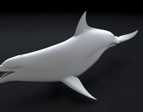 Dolphin 3D Printing Models | CGTrader