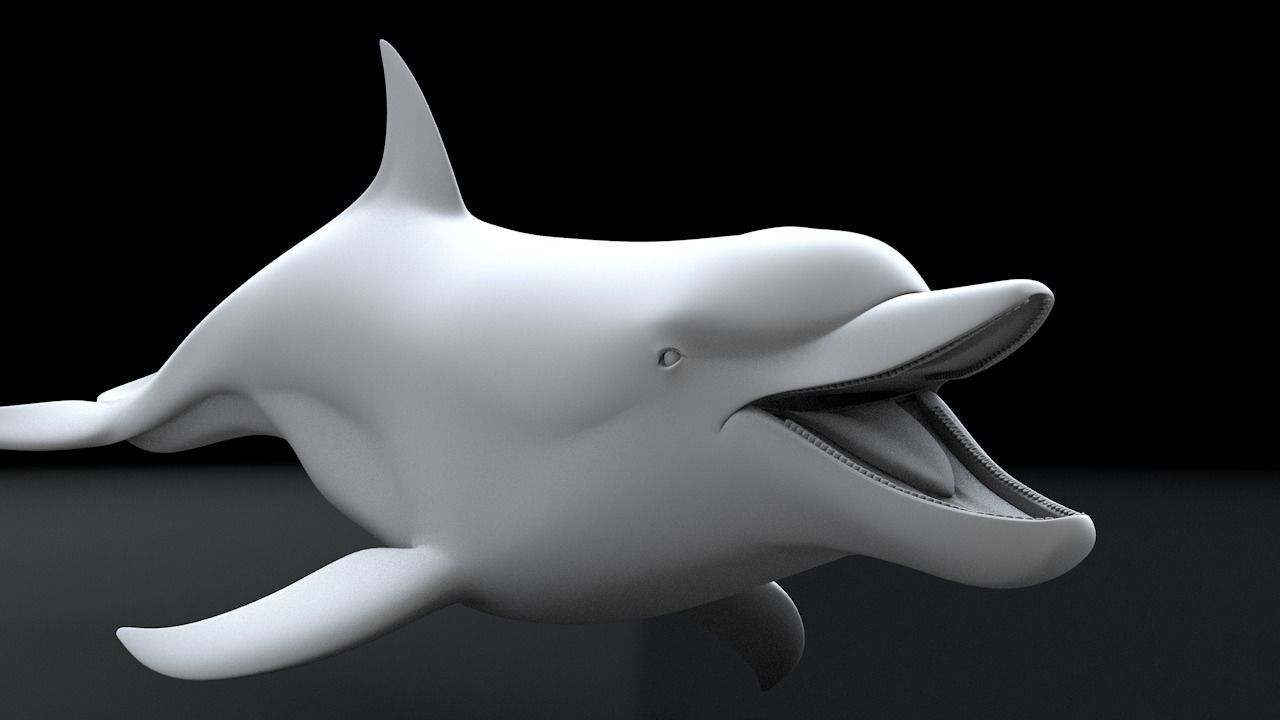 Bottlenose Dolphin 3D Printable Model 3D model 3D printable | CGTrader