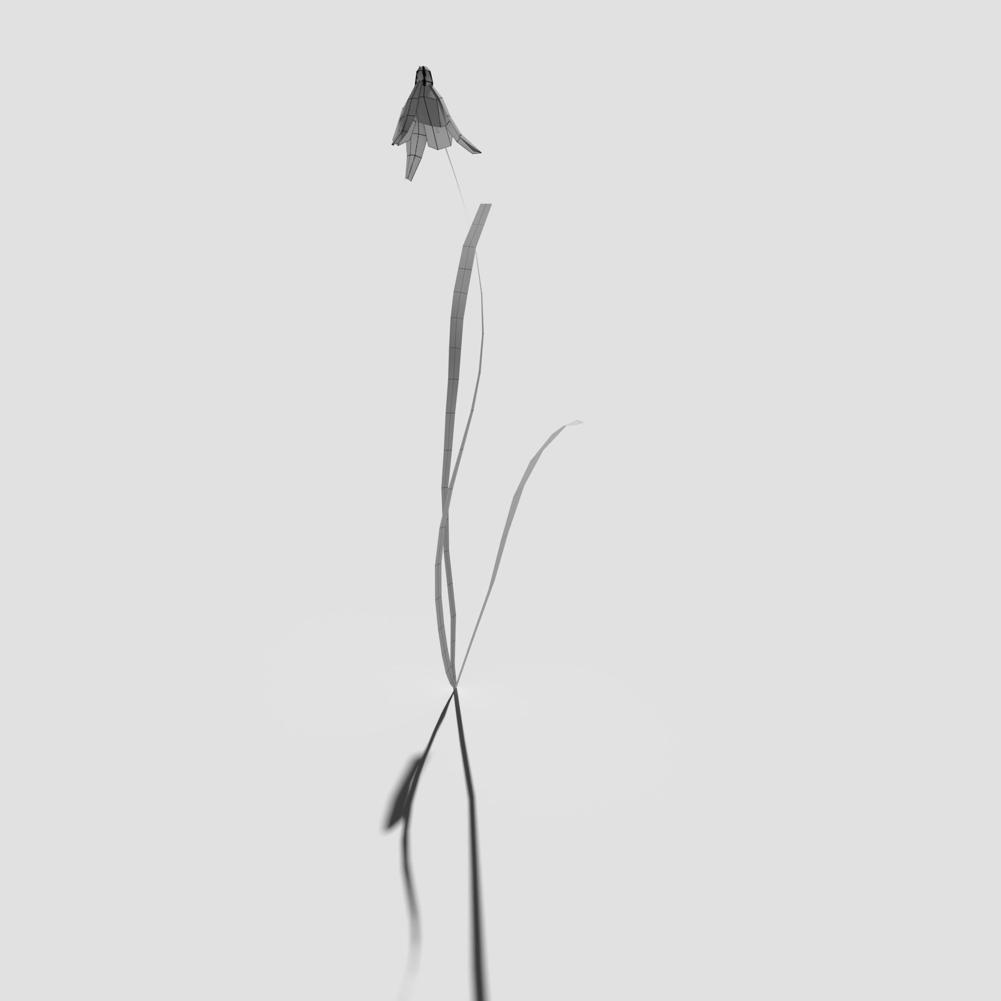 3D model Common Snowdrop Pack VR / AR / low-poly | CGTrader