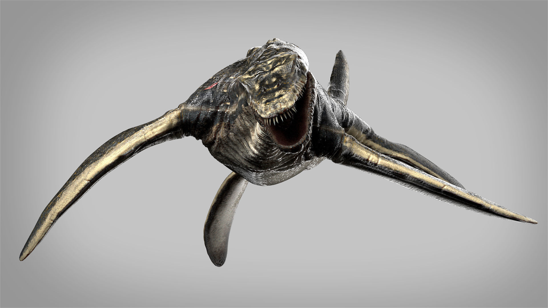 3D model Plesiosaurus 3D Rigged model VR / AR / low-poly | CGTrader
