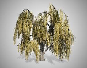 Low-poly Willow 3D Models | CGTrader