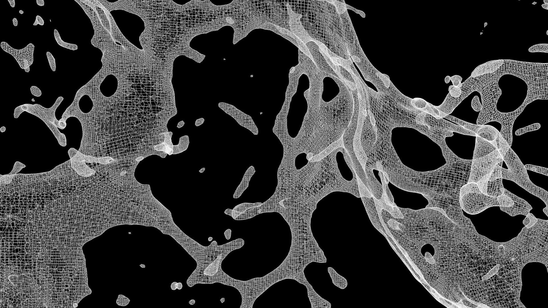 Water Explosion 3D model | CGTrader