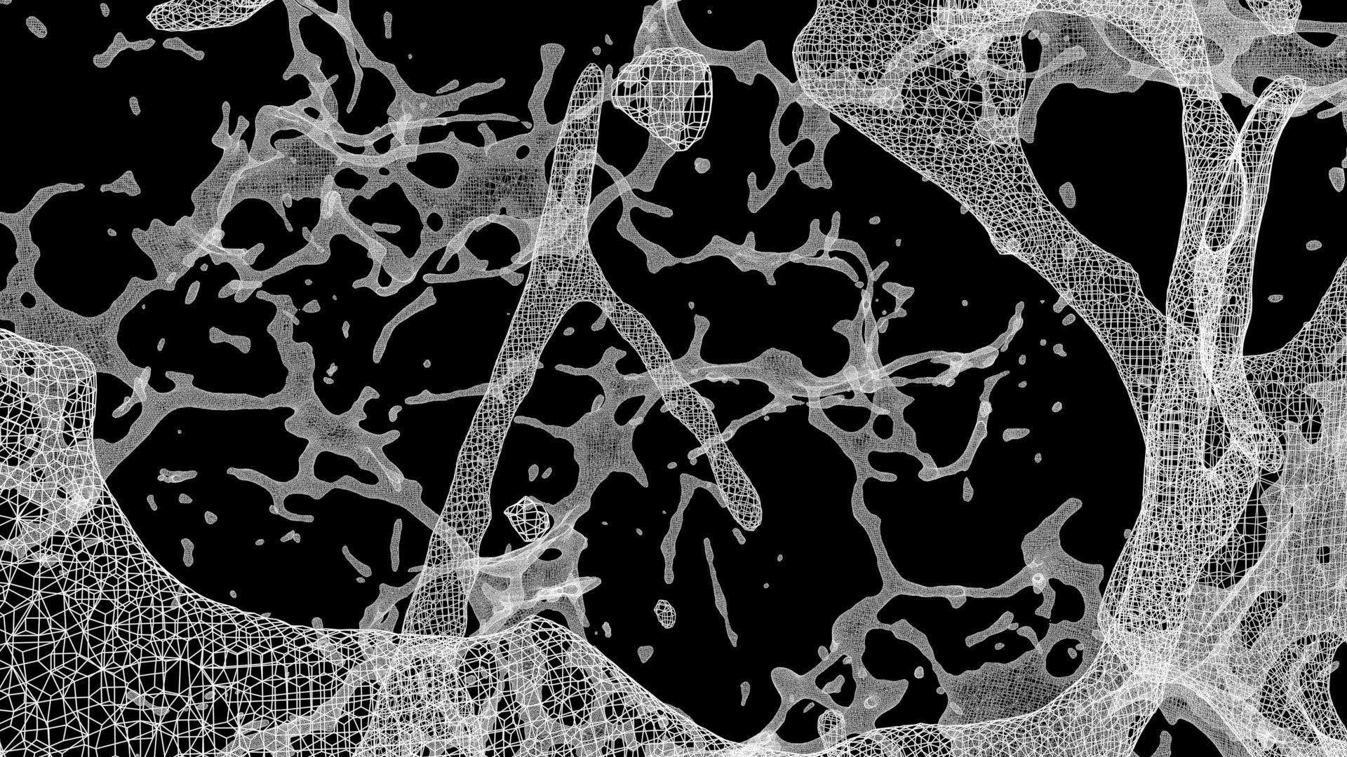 Water Explosion 3D model | CGTrader