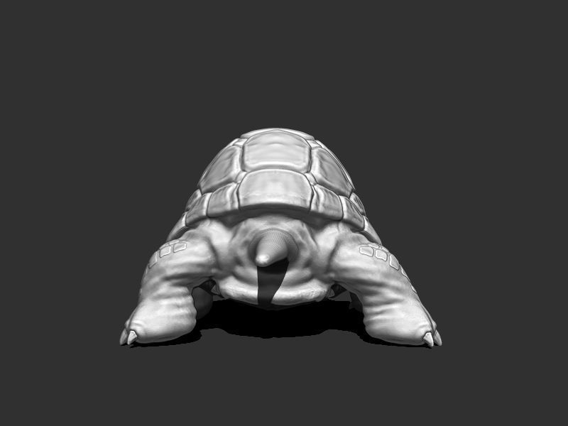 3D Turtle for Printing 3D model 3D printable | CGTrader