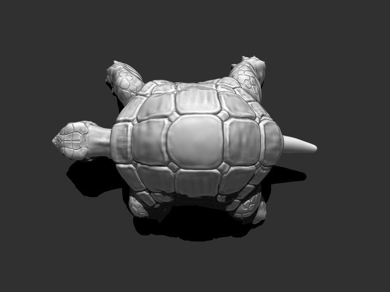 3D Turtle for Printing 3D model 3D printable | CGTrader