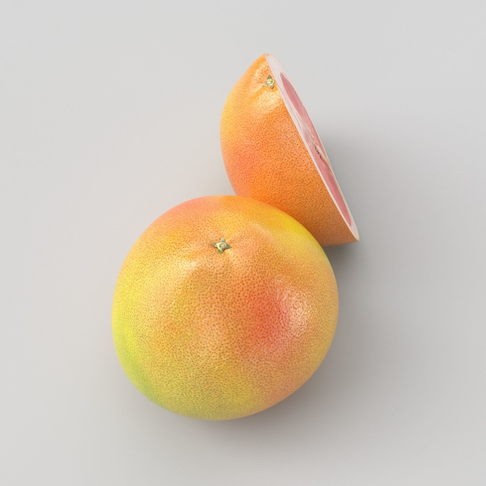 Pomelo 3D model animated | CGTrader
