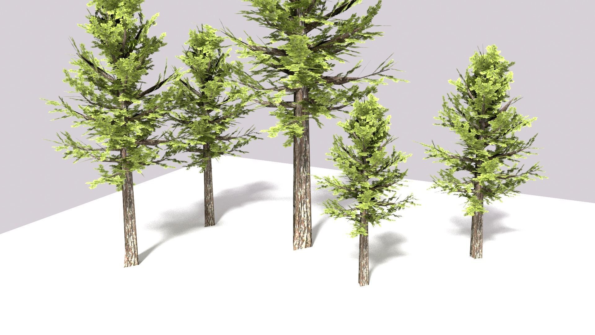 Realistic Tree free 3D model | CGTrader