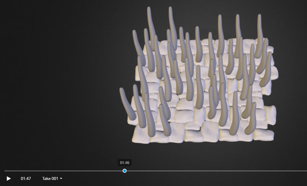 3D model Ciliated Epithelium VR / AR / low-poly animated | CGTrader