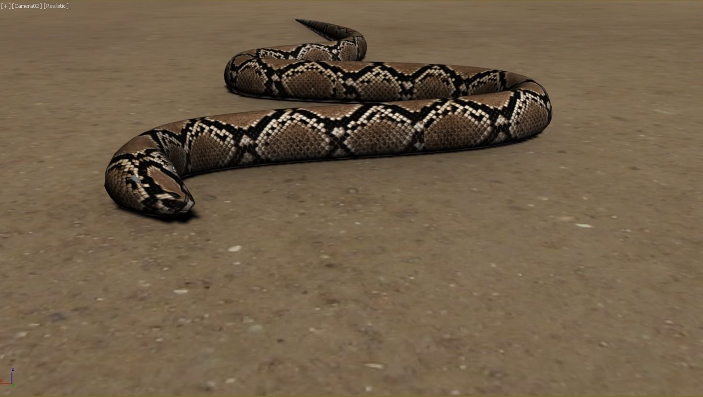 Snake free 3D model animated | CGTrader