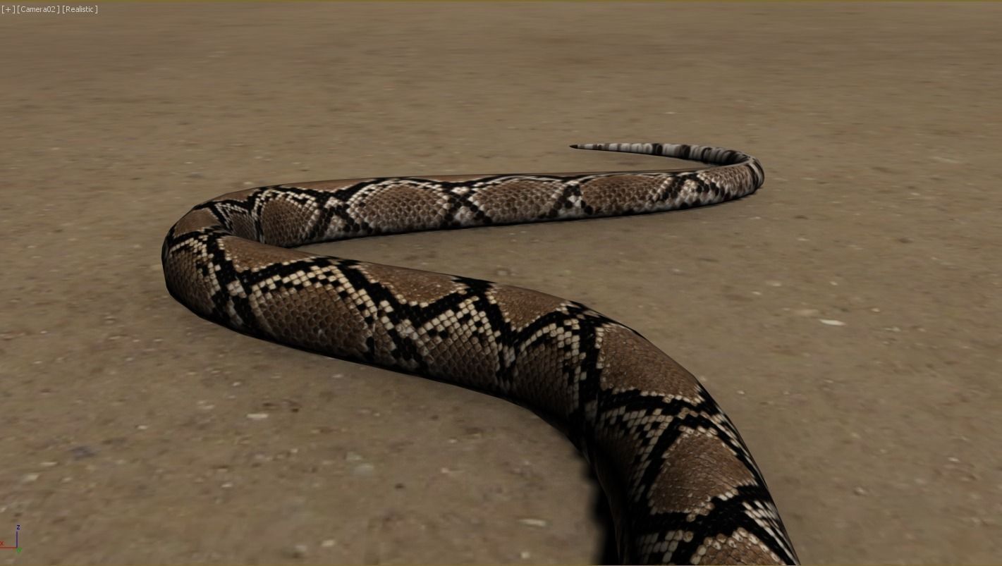 Snake free 3D model animated | CGTrader