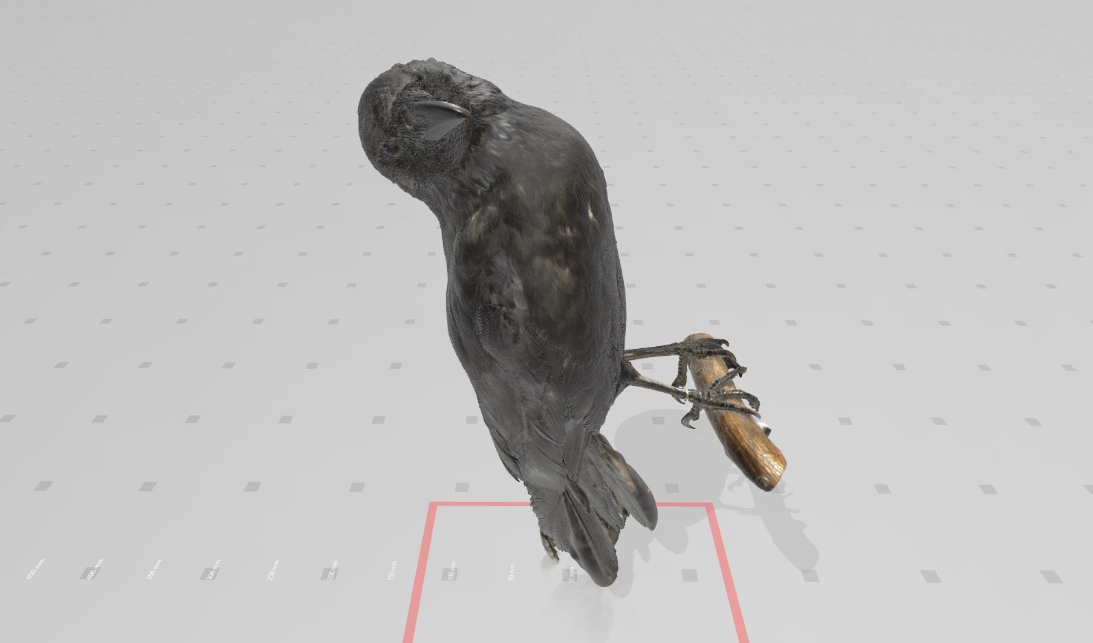 Real life Crow 3D print model 3D model 3D printable | CGTrader