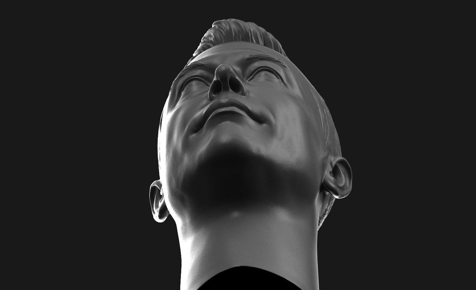 Elon Musk Head 3D model 3D printable | CGTrader