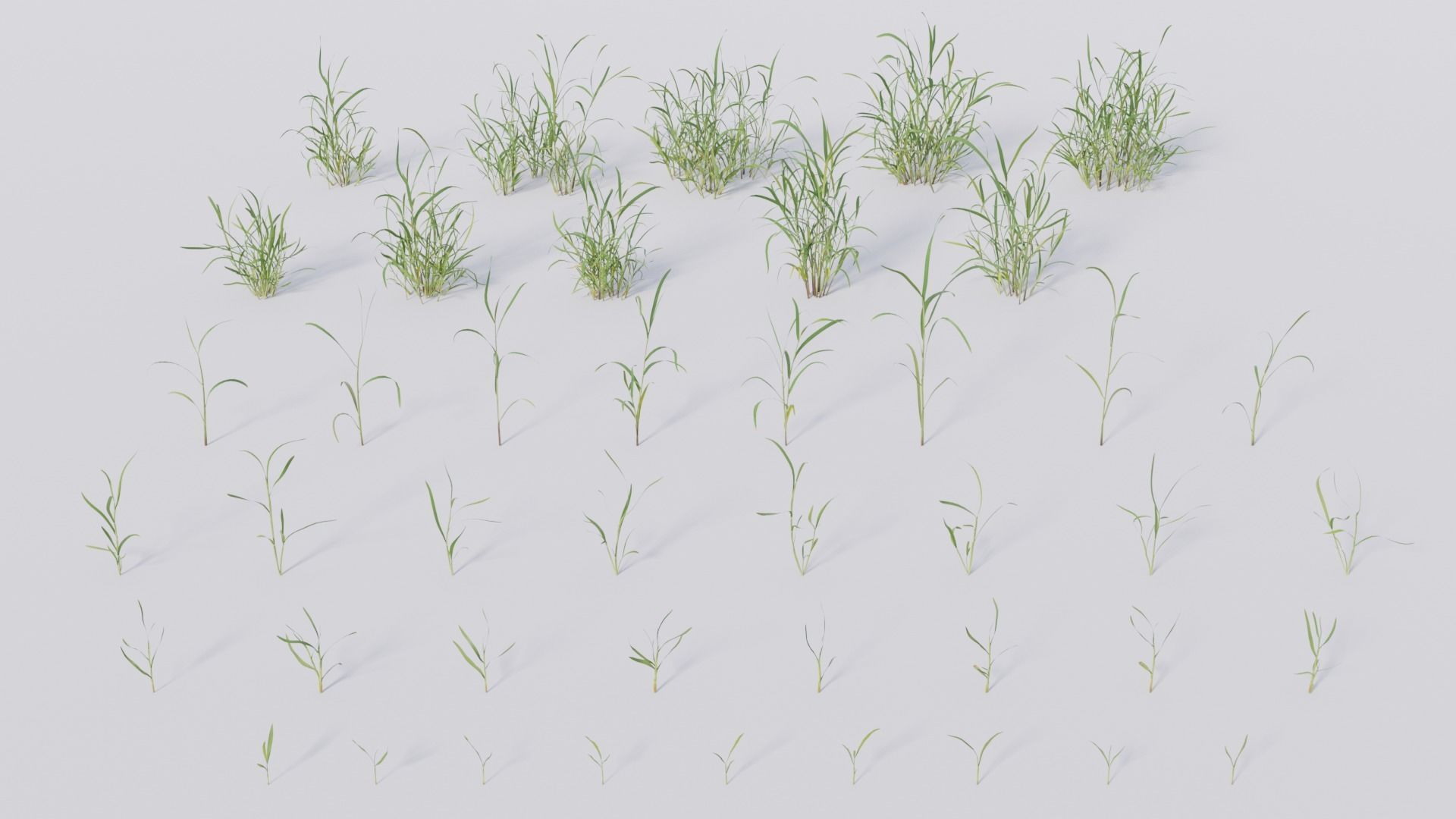 3D Grass collection vol01 3D model | CGTrader